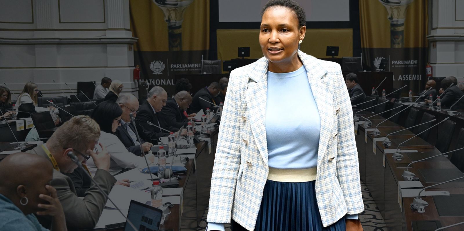 Fact-check: Tall tales with Thembi Simelane - how justice minister ...