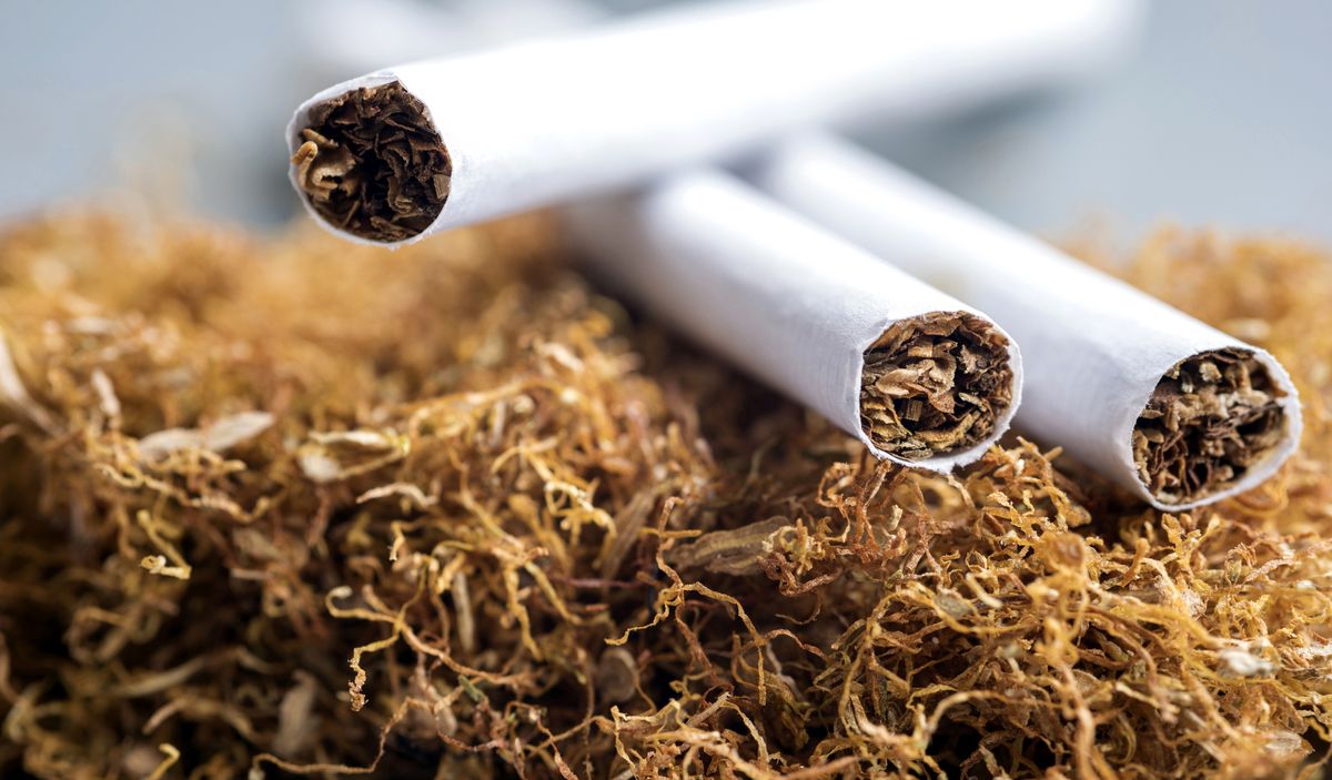 Sars swoops on Gold Leaf Tobacco over transnational plunder network