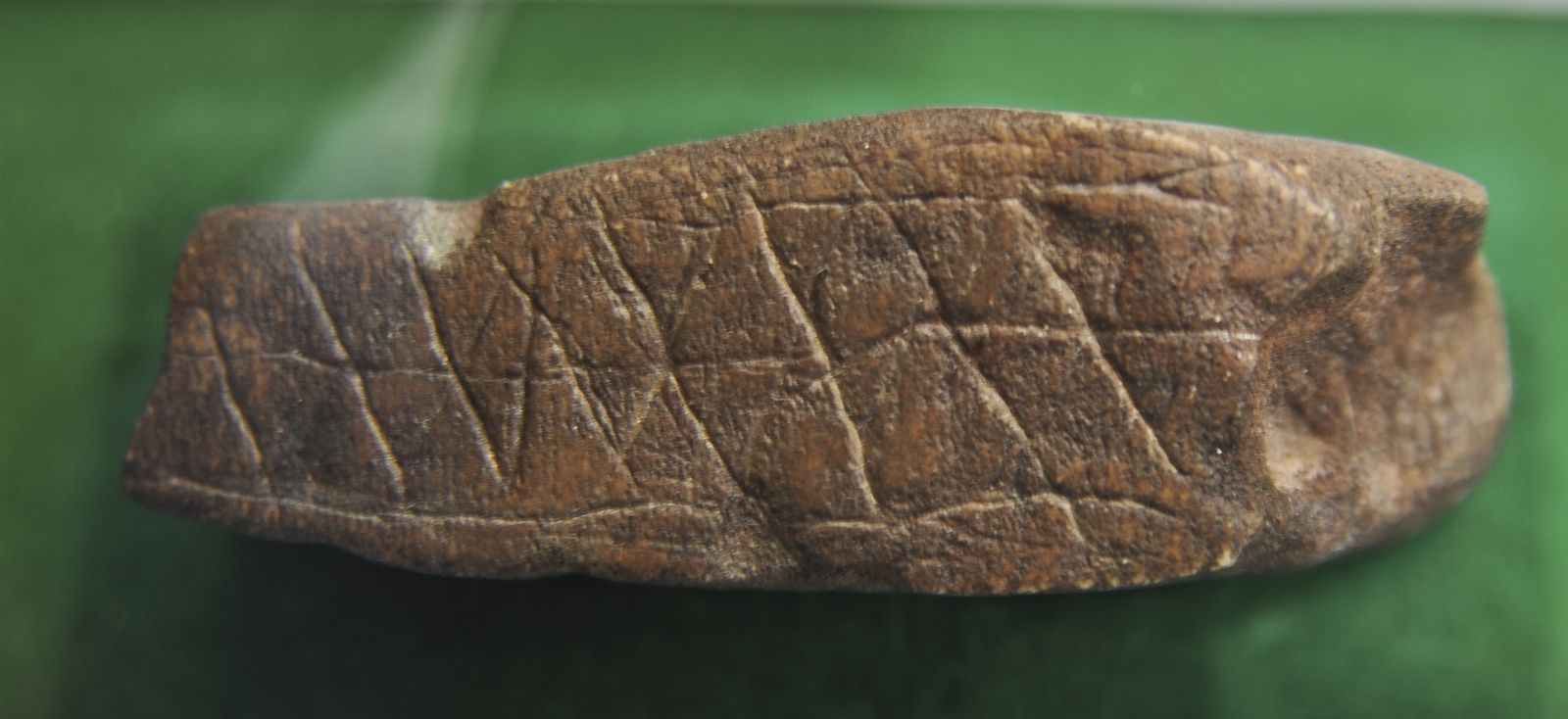 Ancient footprints: Blombos Cave and the birth of human intelligence