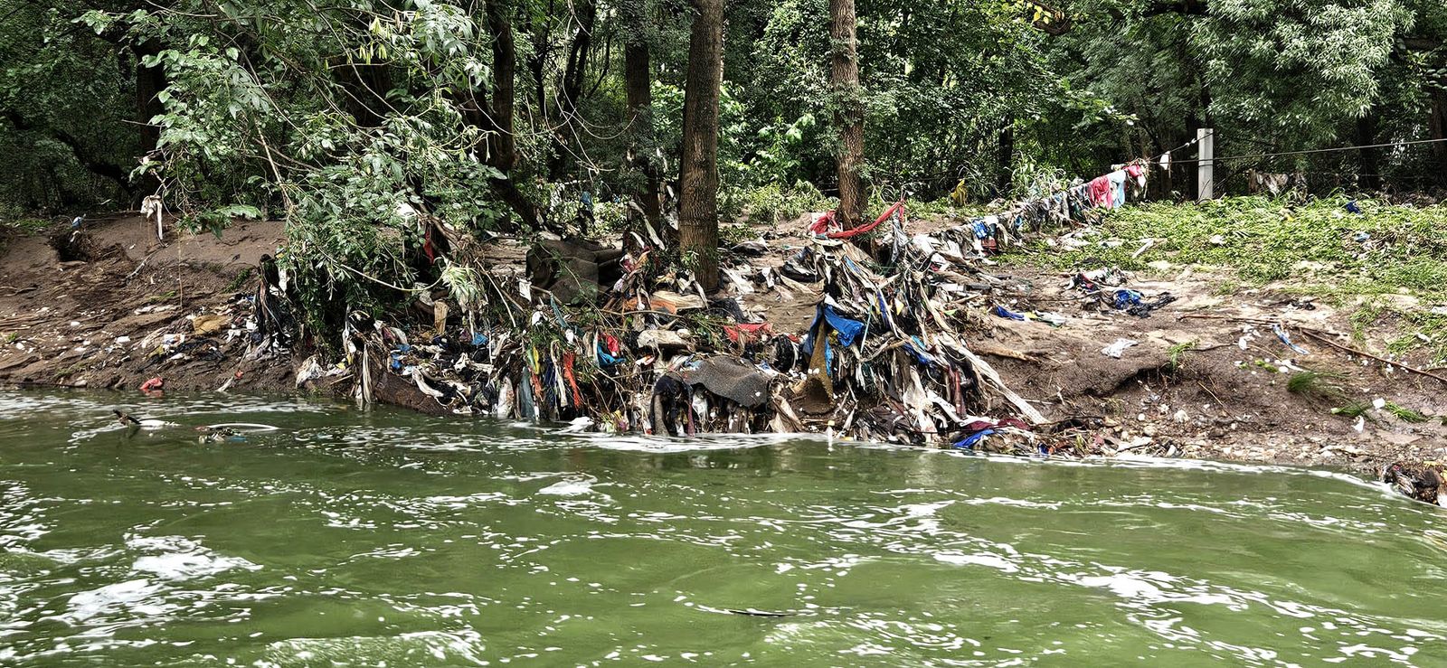 Tshwane's Hennops River turns green: algal blooms signal a growing ...