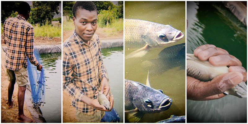 A pond, a passion, YouTube help Limpopo man reinvent career
