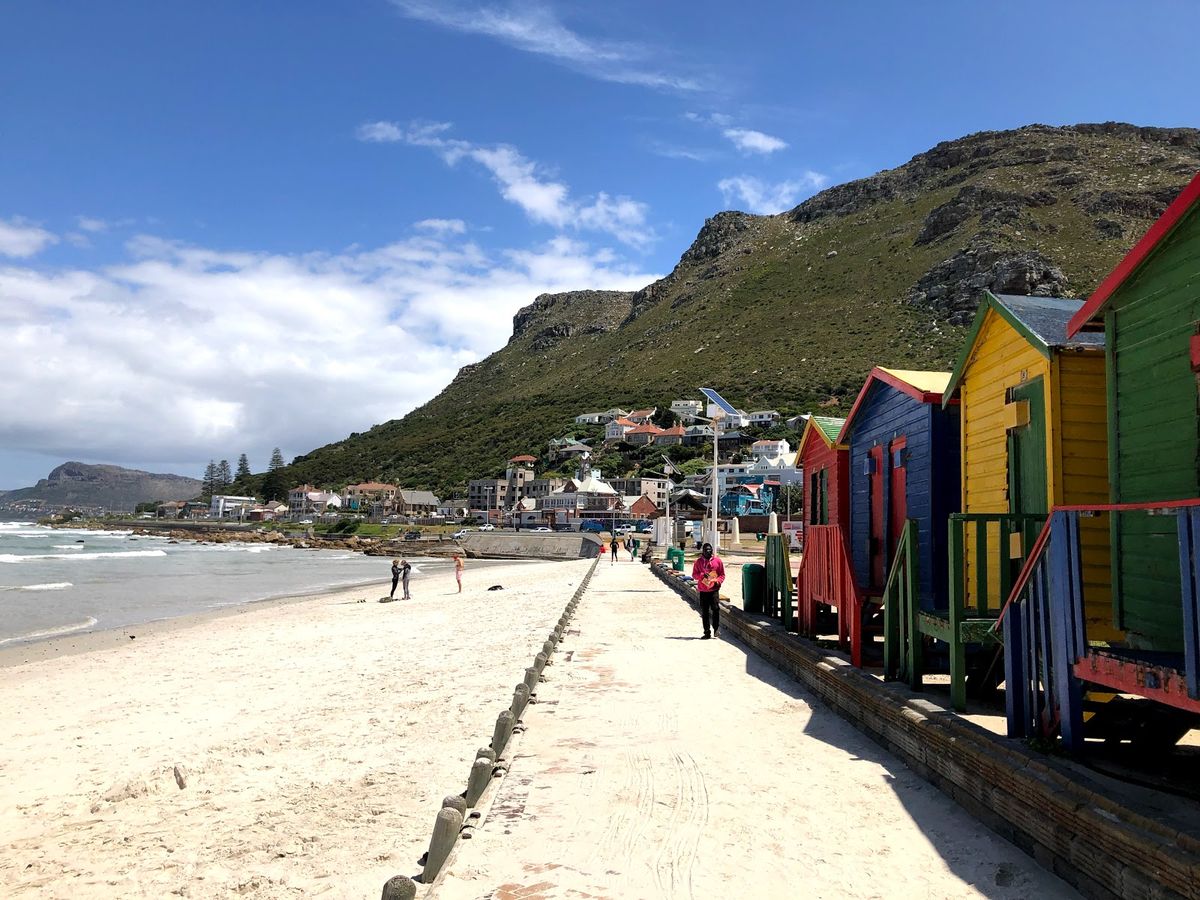 Where to find Blue Flag beaches and which beaches reported poor water ...