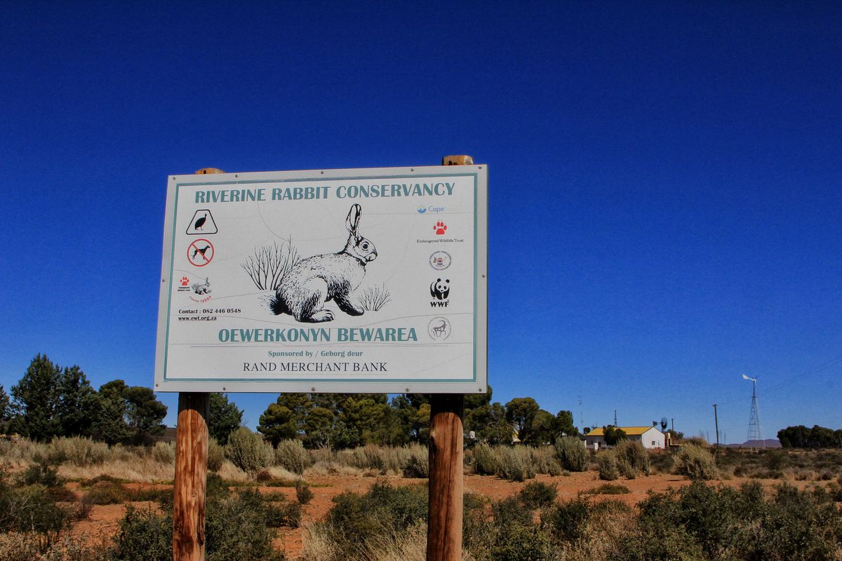 Loxton: Where you’ll find writers, rabbits and rocks made of iron