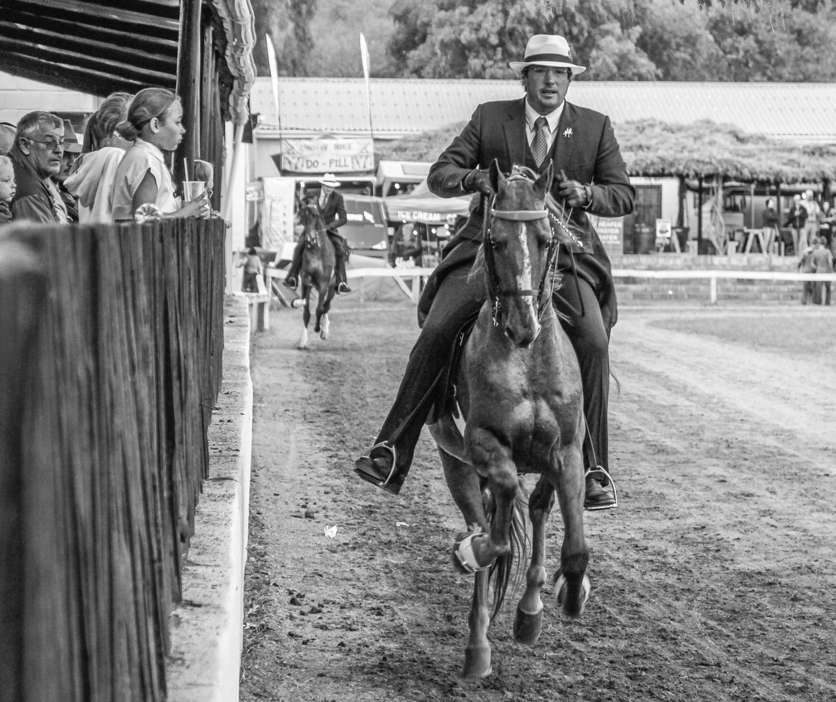 Cradock II: The Fish, the Show, the Ghosts & the Trekbokke