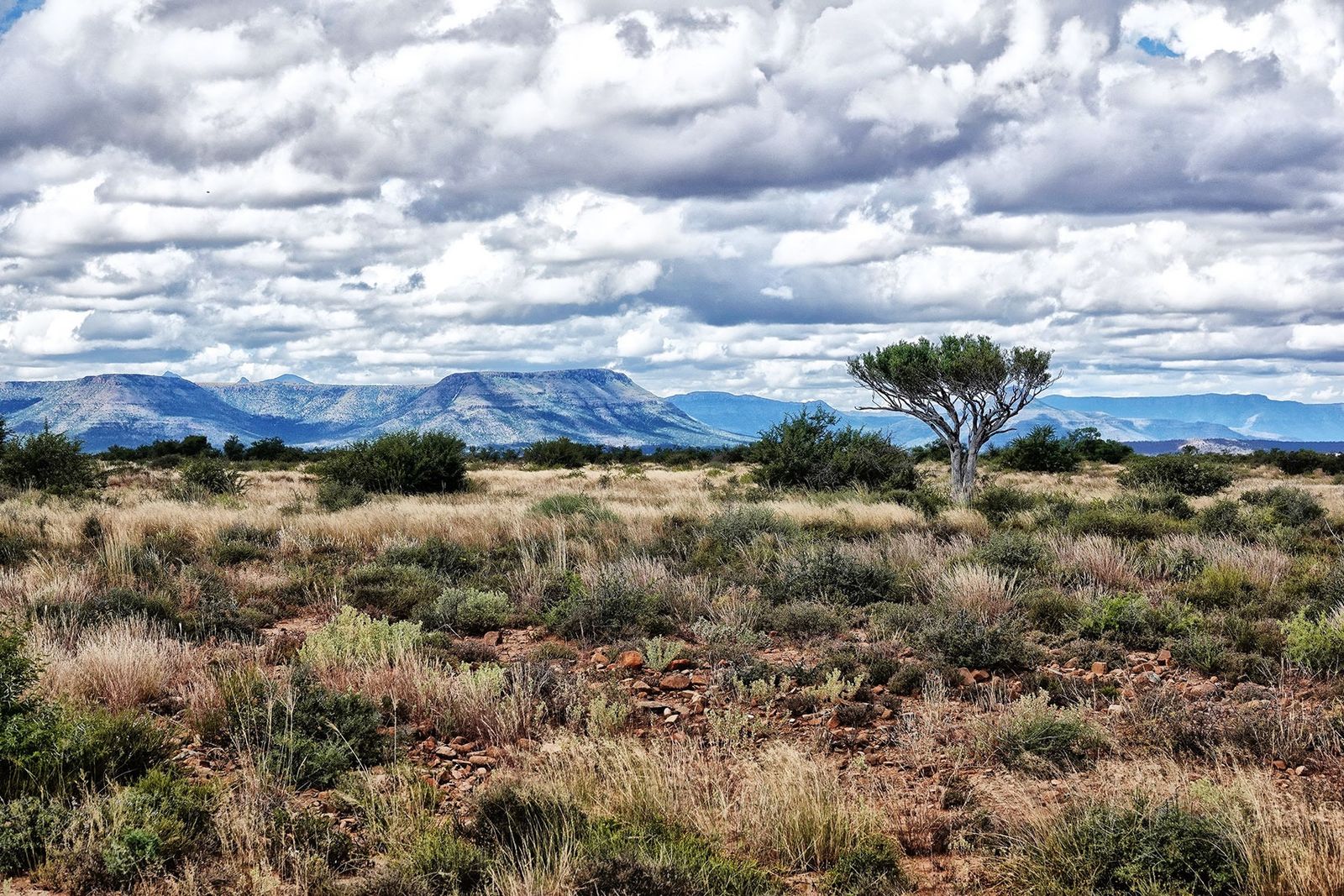 Exploring the high peaks and hidden valleys of the Great Karoo’s ...