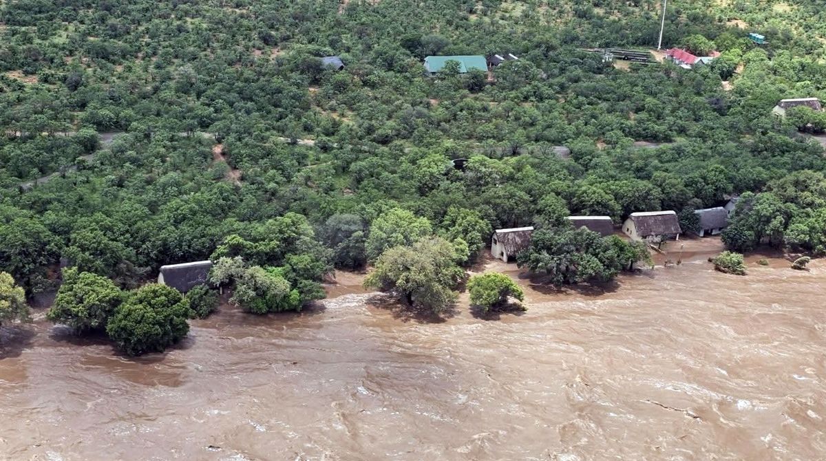 Kruger Park: SANParks evacuates Letaba, closes Phalaborwa Gate