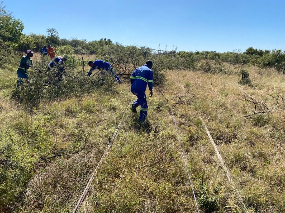 Tshwane collapsed pylons: 48 hours in the dark and counting