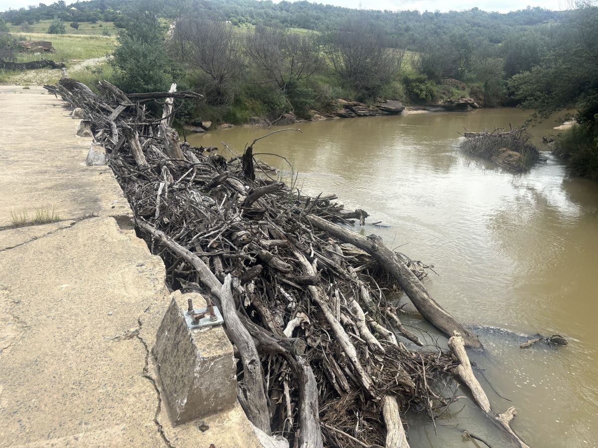 Water security: Grasslands restoration is as important as engineering ...