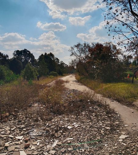 Illegal mining sinkhole threat to Joburg roads, businesses