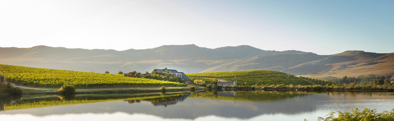 Creation Wines makes top-five ranking on prestigious World’s 50 Best ...