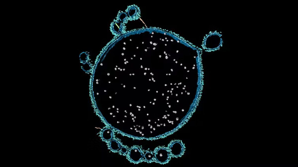 ‘First contact’ that may have led to complex life on Earth witnessed by ...